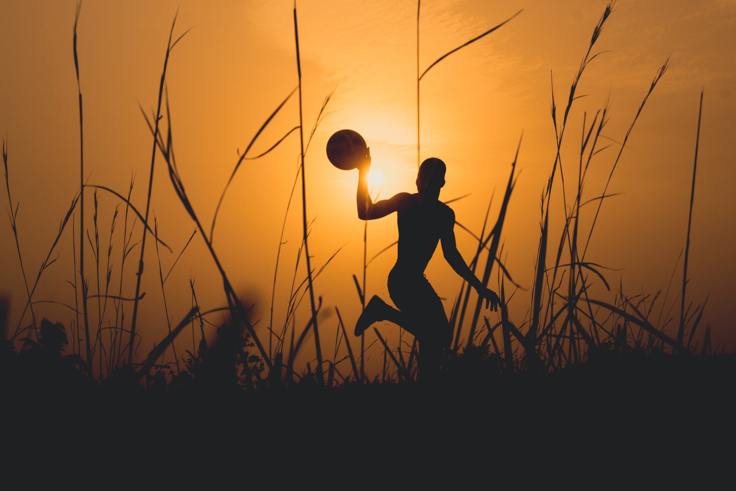 Statistics in Sports Stat View International