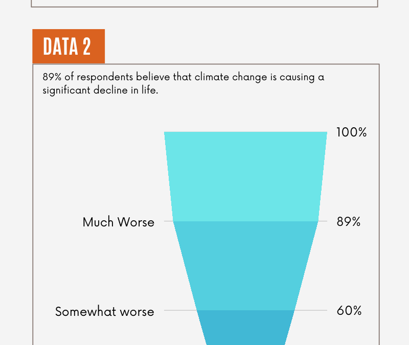 Stat View International | Stat View International